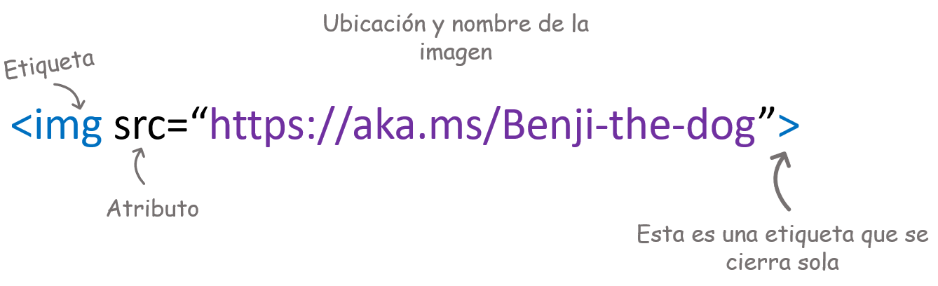 Nuevo Foundation Workshops