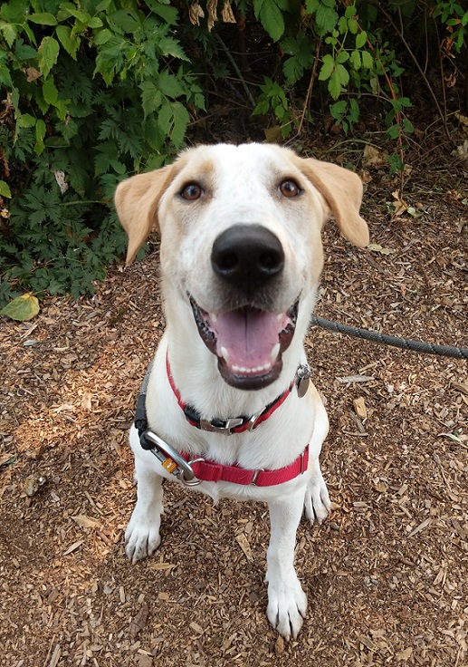 Nuevo Foundation Workshops